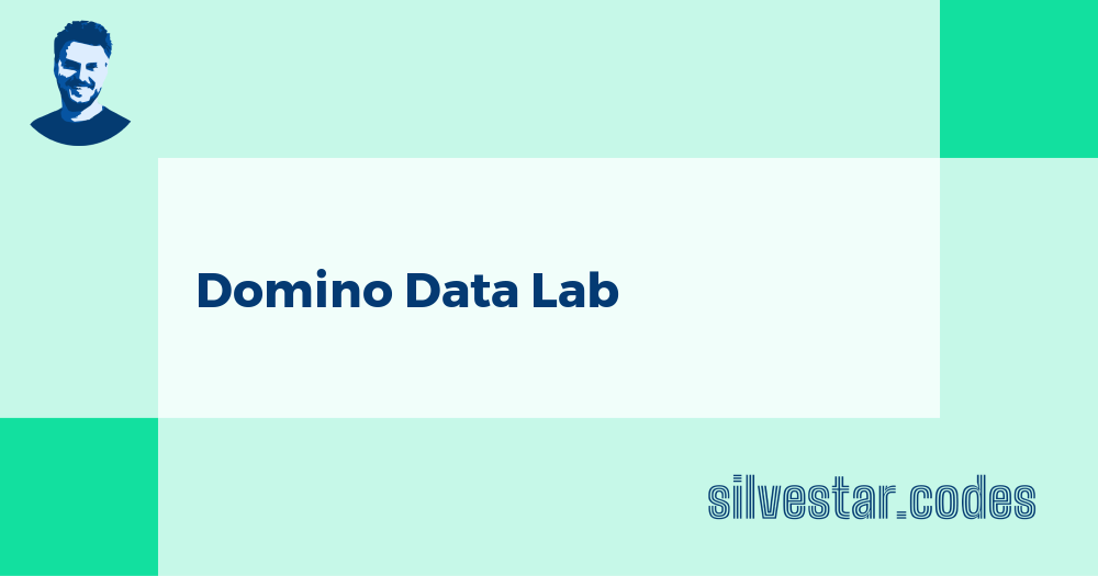 Domino Data Lab S.Bistrović